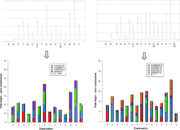 Automated, fast and reliable analysis of pyrosequencing signals – LIAM